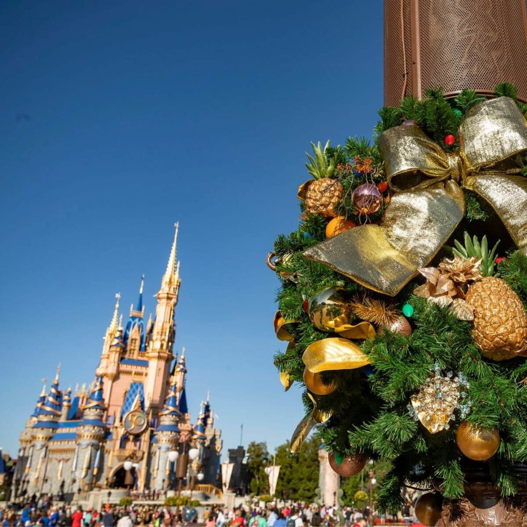 A Complete Guide to Walt Disney World in November 2026 • The Park Pixie