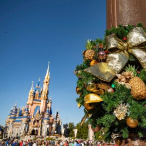 A Complete Guide to Walt Disney World in November 2025 • The Park Pixie