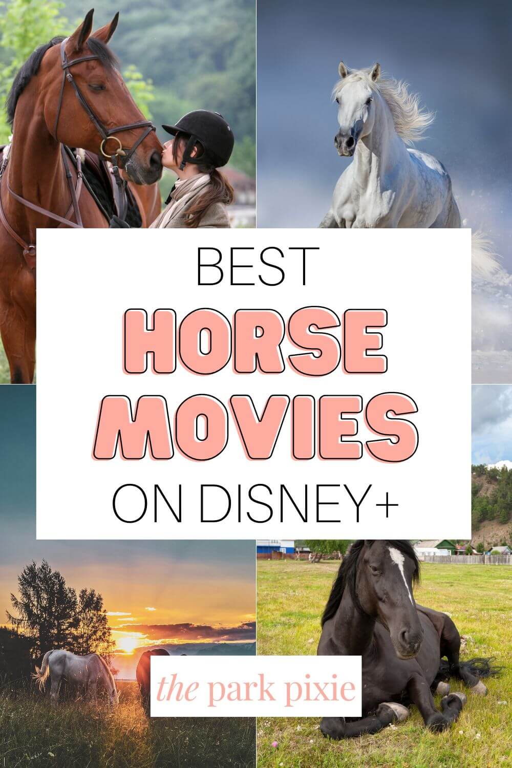 11 Best Horse Movies on Disney Plus • The Park Pixie