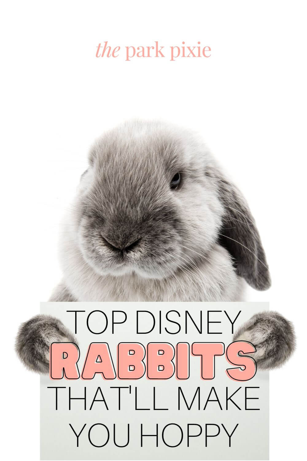 Top 15 Disney Rabbits That'll Make You Hoppy (Updated 2024) • The Park ...