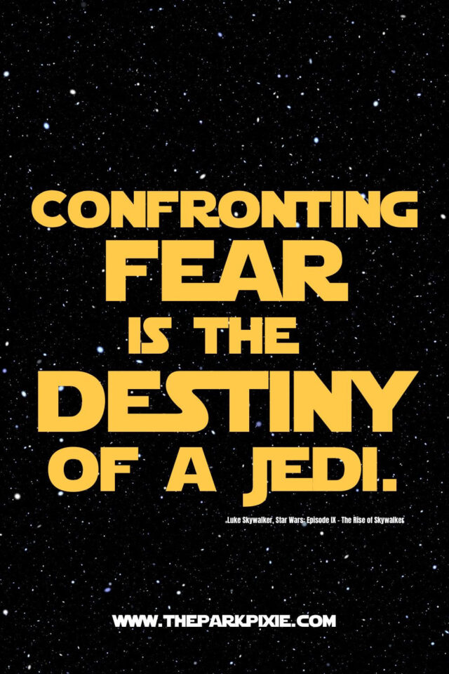 130+ Best Star Wars Quotes to Share on Social Media • The Park Pixie
