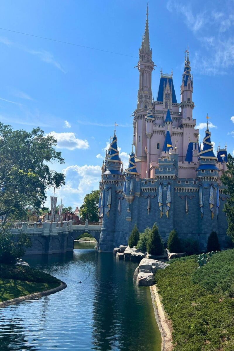 Magic Kingdom Genie Plus & Lightning Lane Guide • The Park Pixie