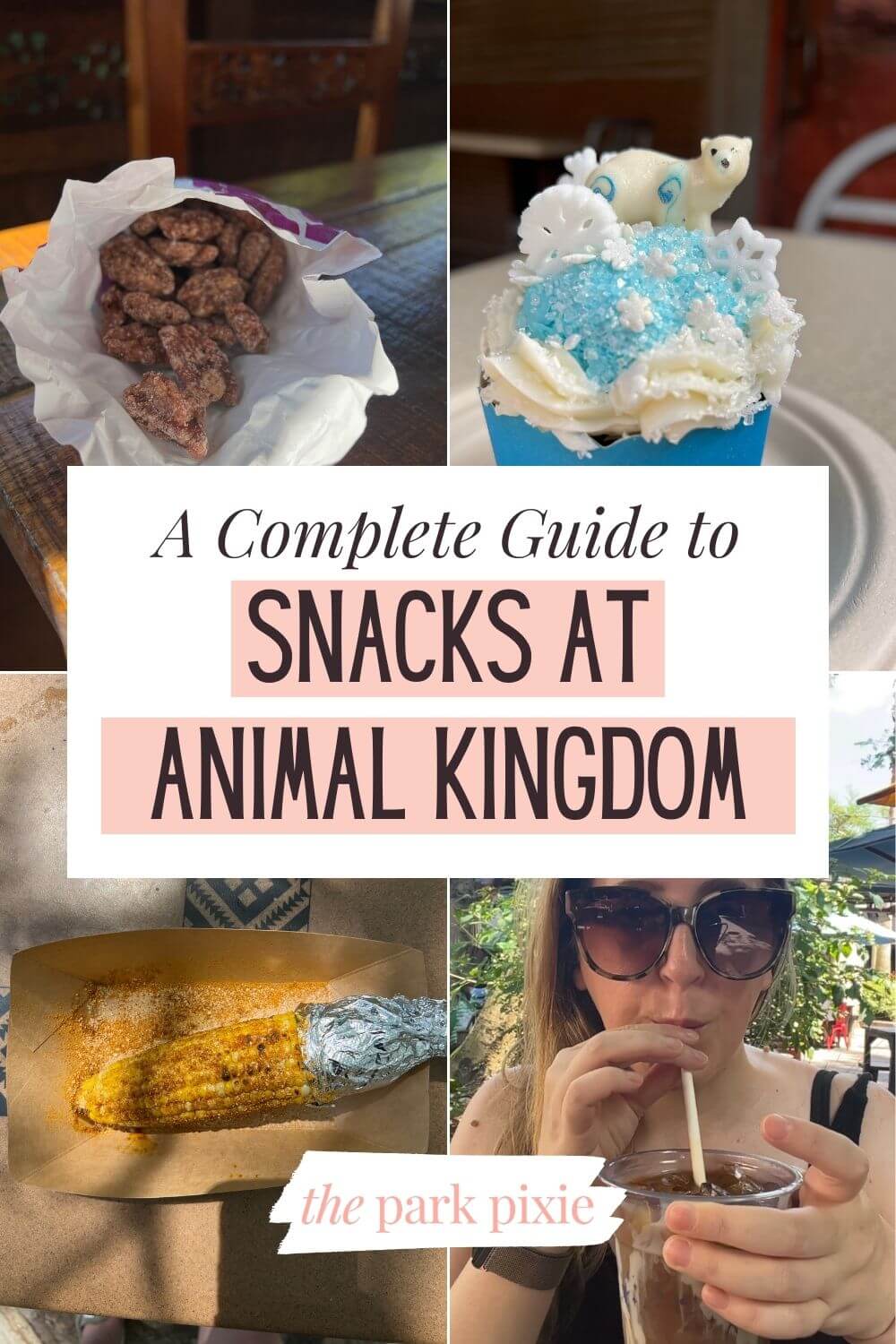 Best Snacks at Animal Kingdom Worth Trying • The Park Pixie