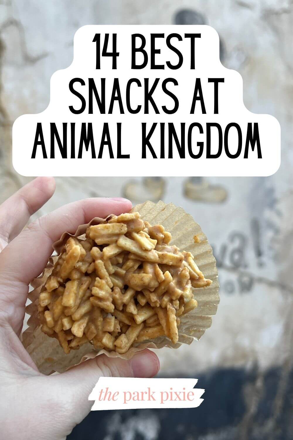 Best Snacks at Animal Kingdom Worth Trying • The Park Pixie