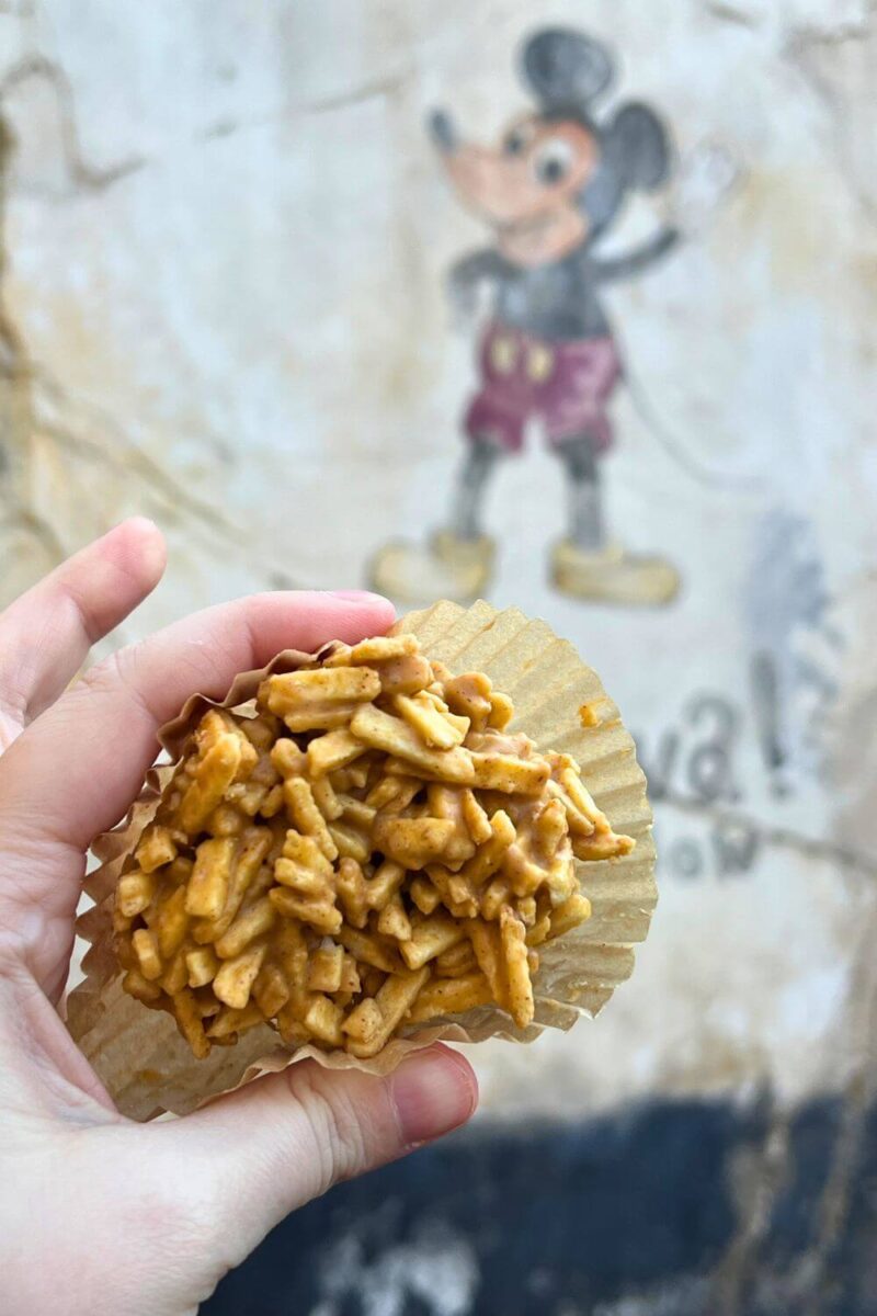 Best Snacks at Animal Kingdom Worth Trying • The Park Pixie